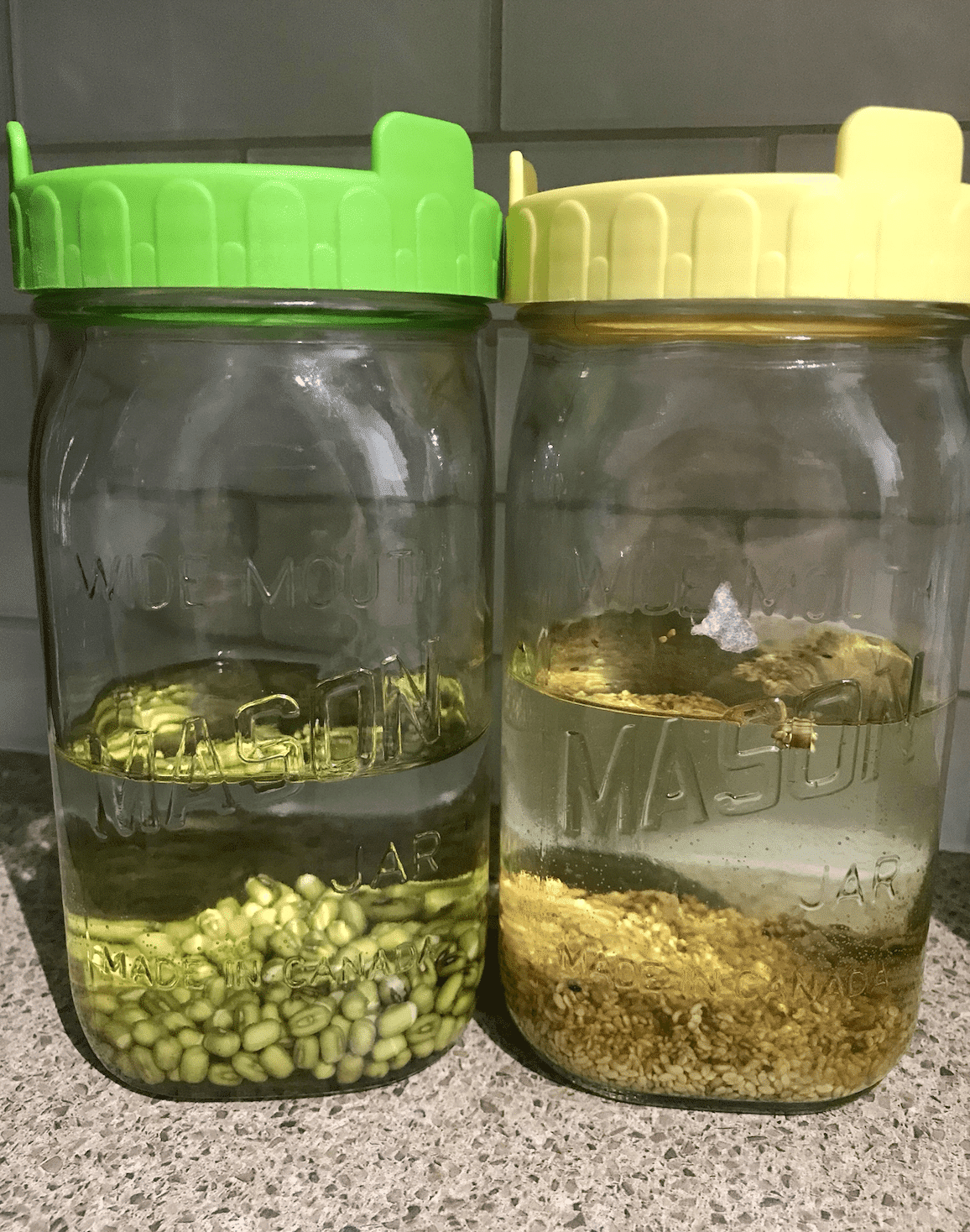 How To Grow Sprouts At Home: Step-by-Step Guide | Essy Cooks