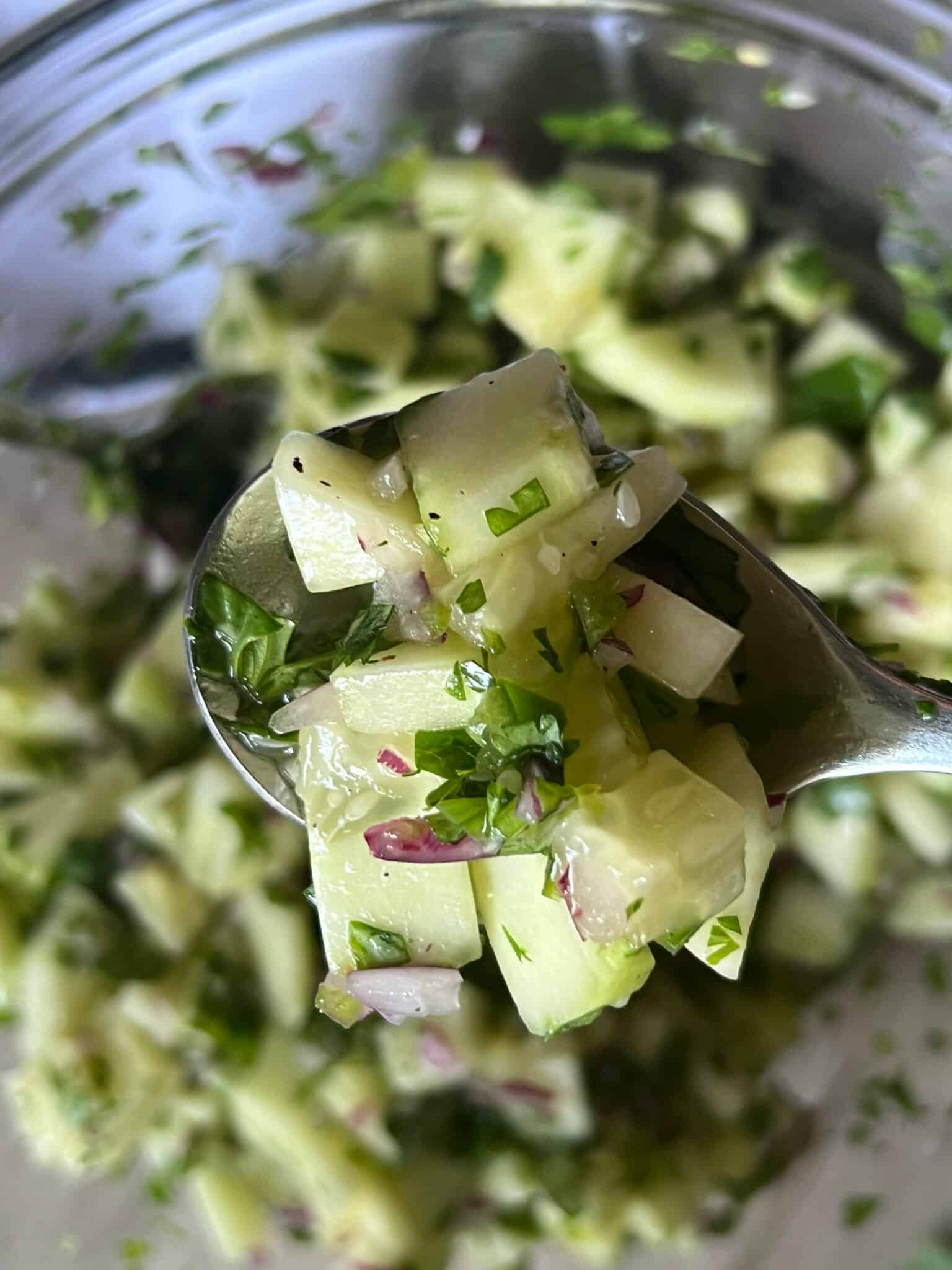 Cucumber Salsa Recipe Easy With No Tomatoes | Essy Cooks