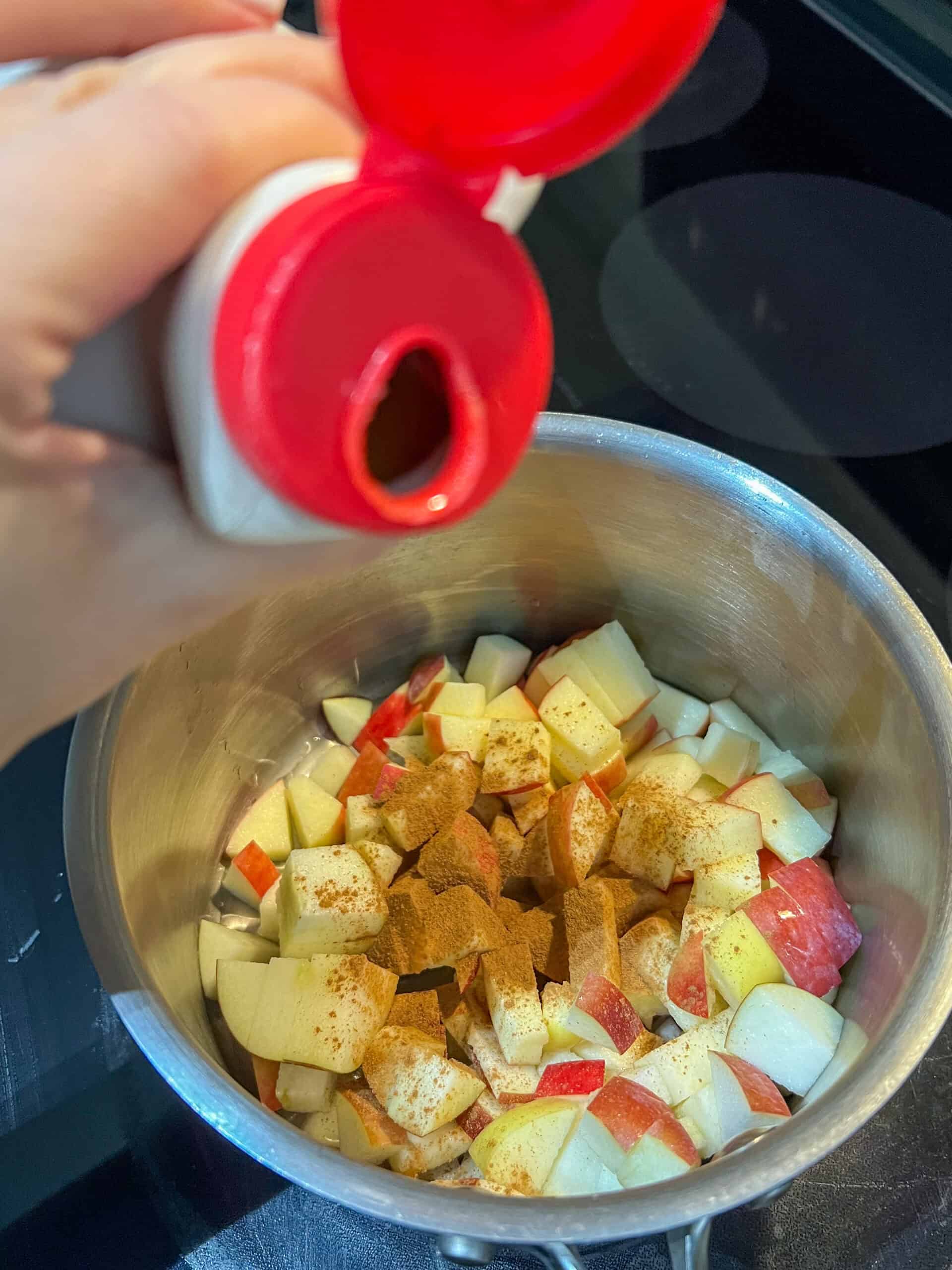 Easy Stewed Apples Recipe With Cinnamon | Essy Cooks