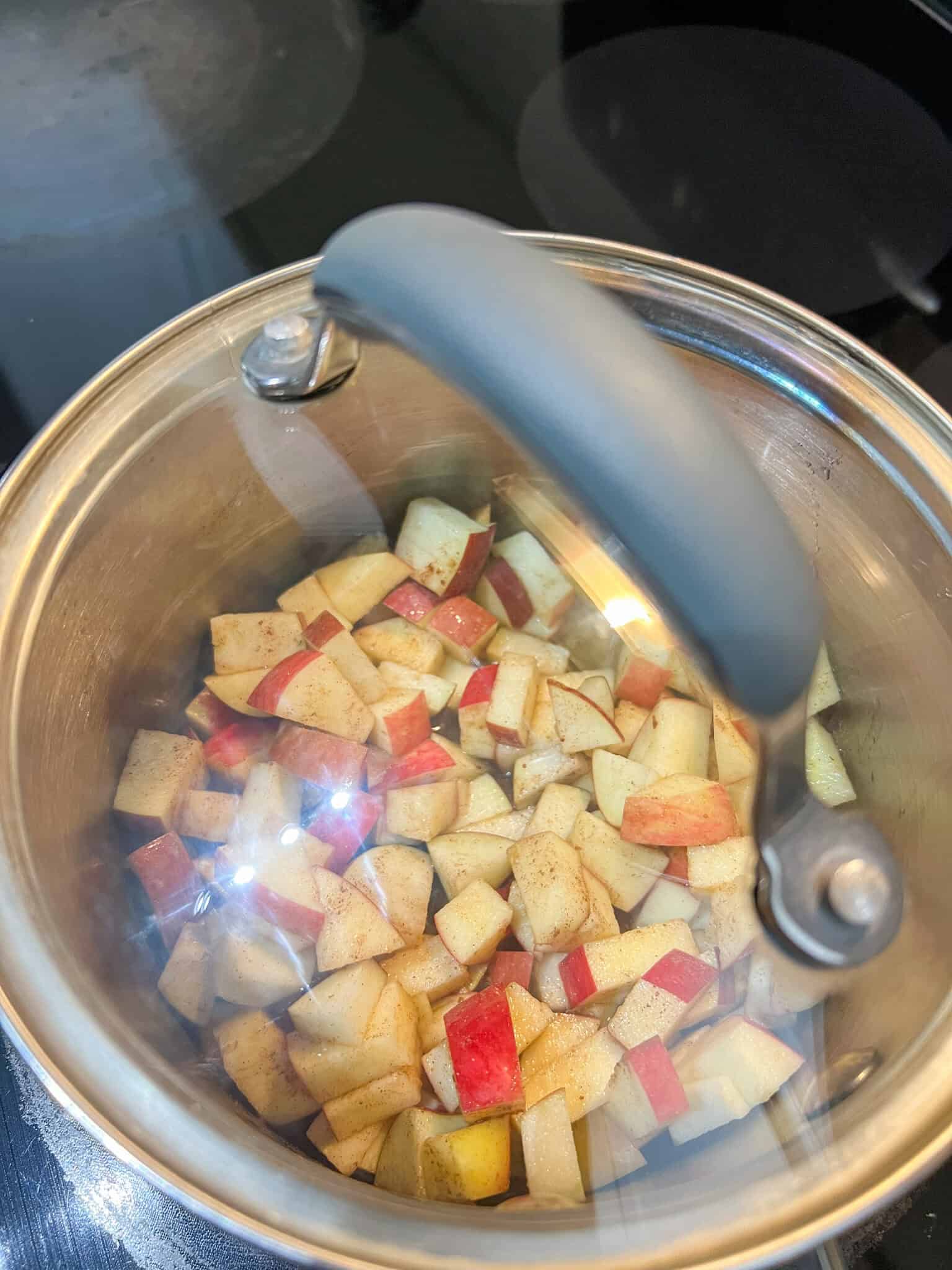 Easy Stewed Apples Recipe With Cinnamon | Essy Cooks