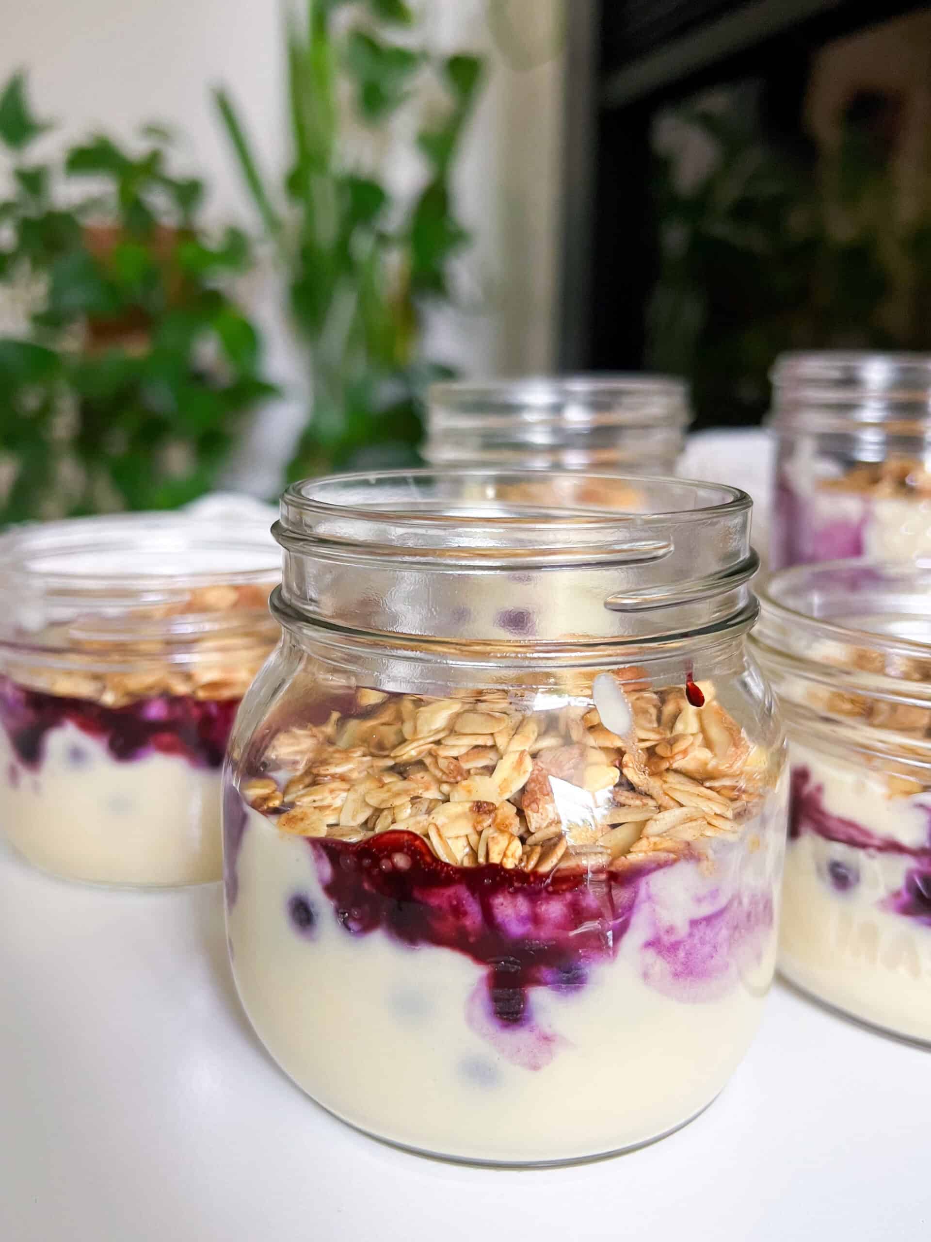 High Protein Yogurt Parfait Meal Prep | Essy Cooks