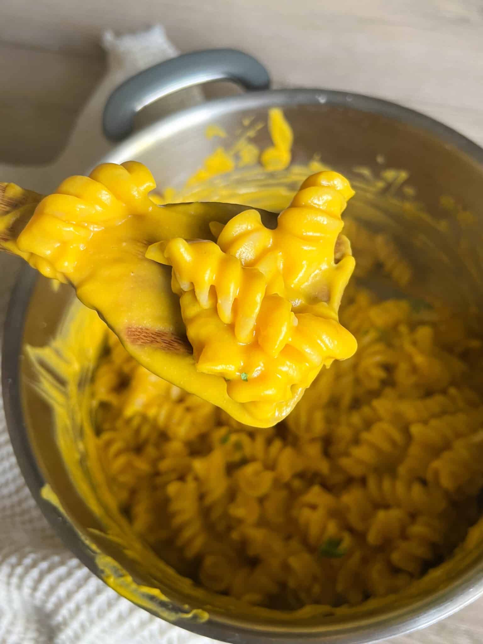 Creamy Lentil Pasta Sauce Recipe | Essy Cooks